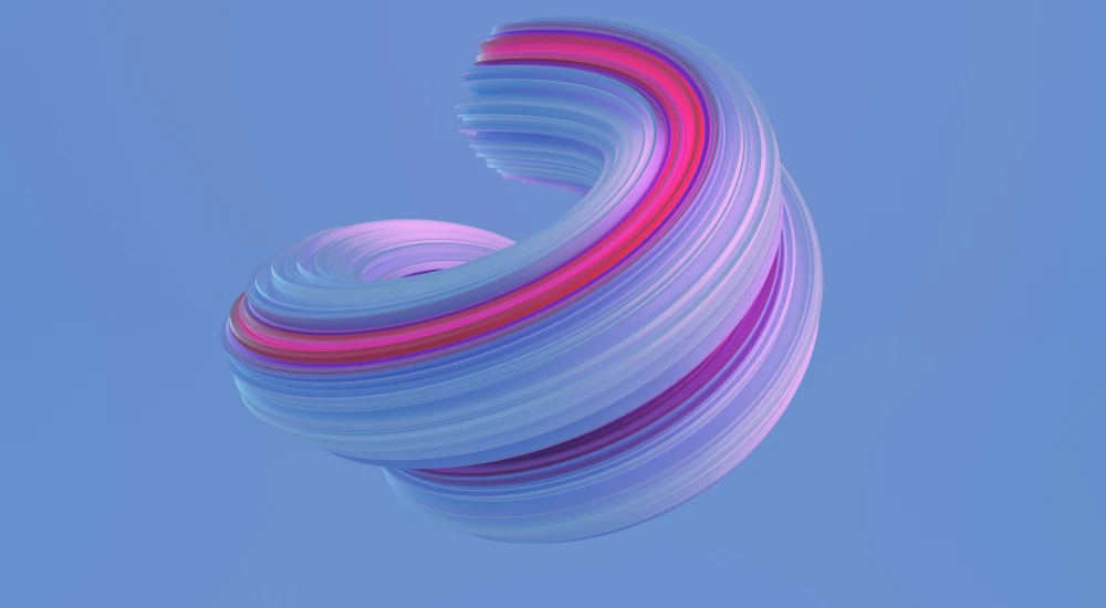 Web Development Excellence Case Study. - Risersol Technology